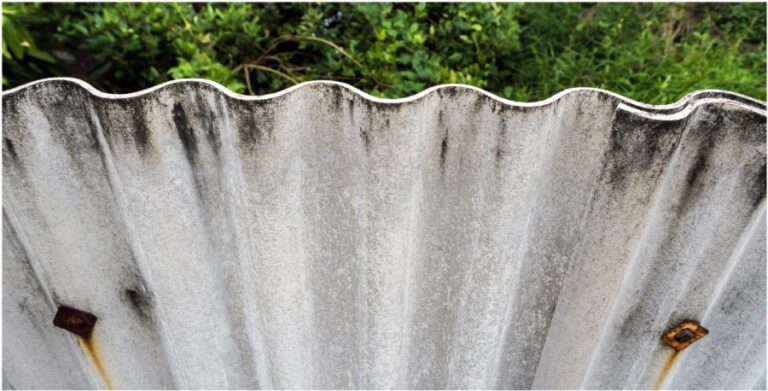 Ultimate Guide To Asbestos Fence Removal Price