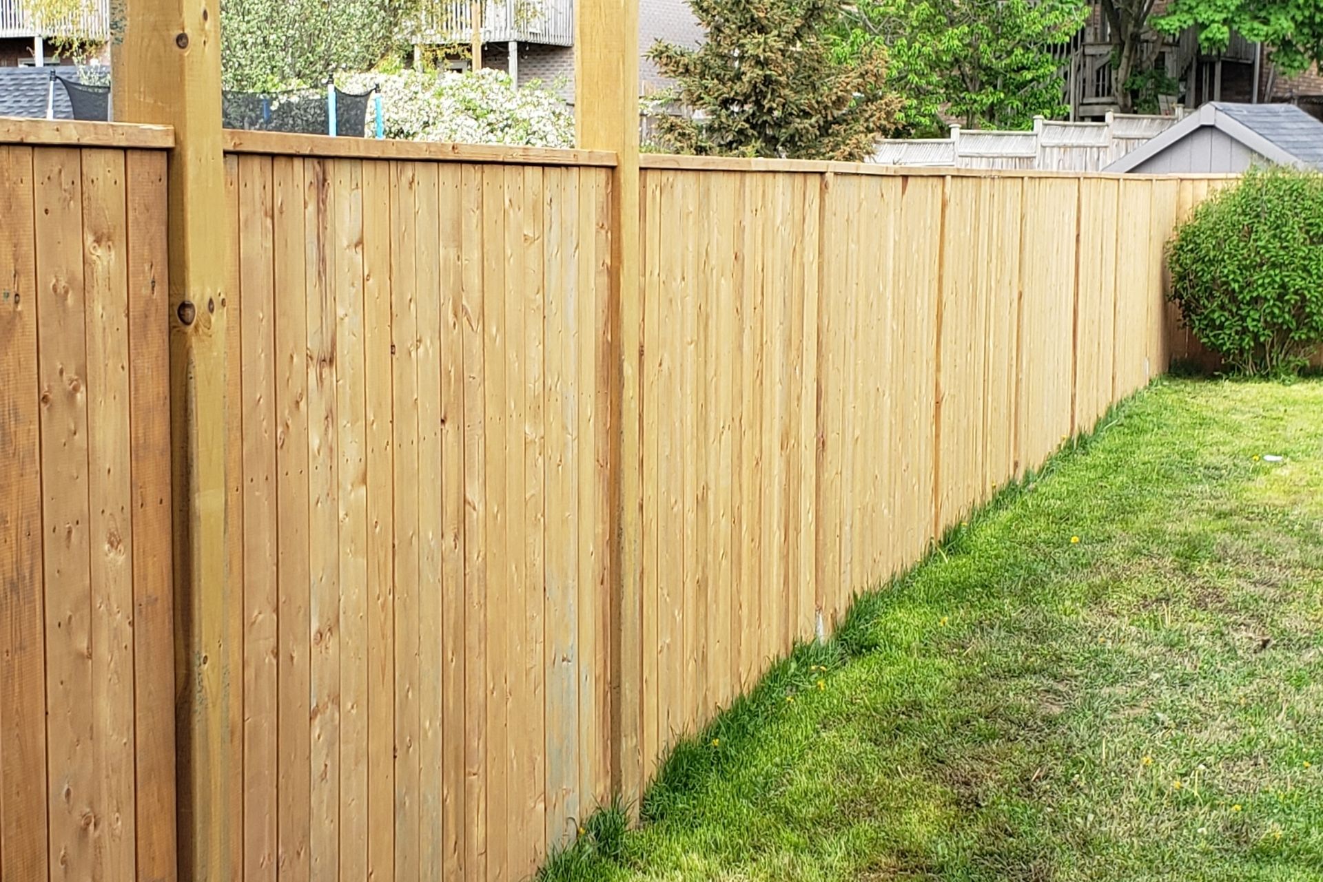 Ultimate Guide To Fencing Cost Per Meter In New Zealand