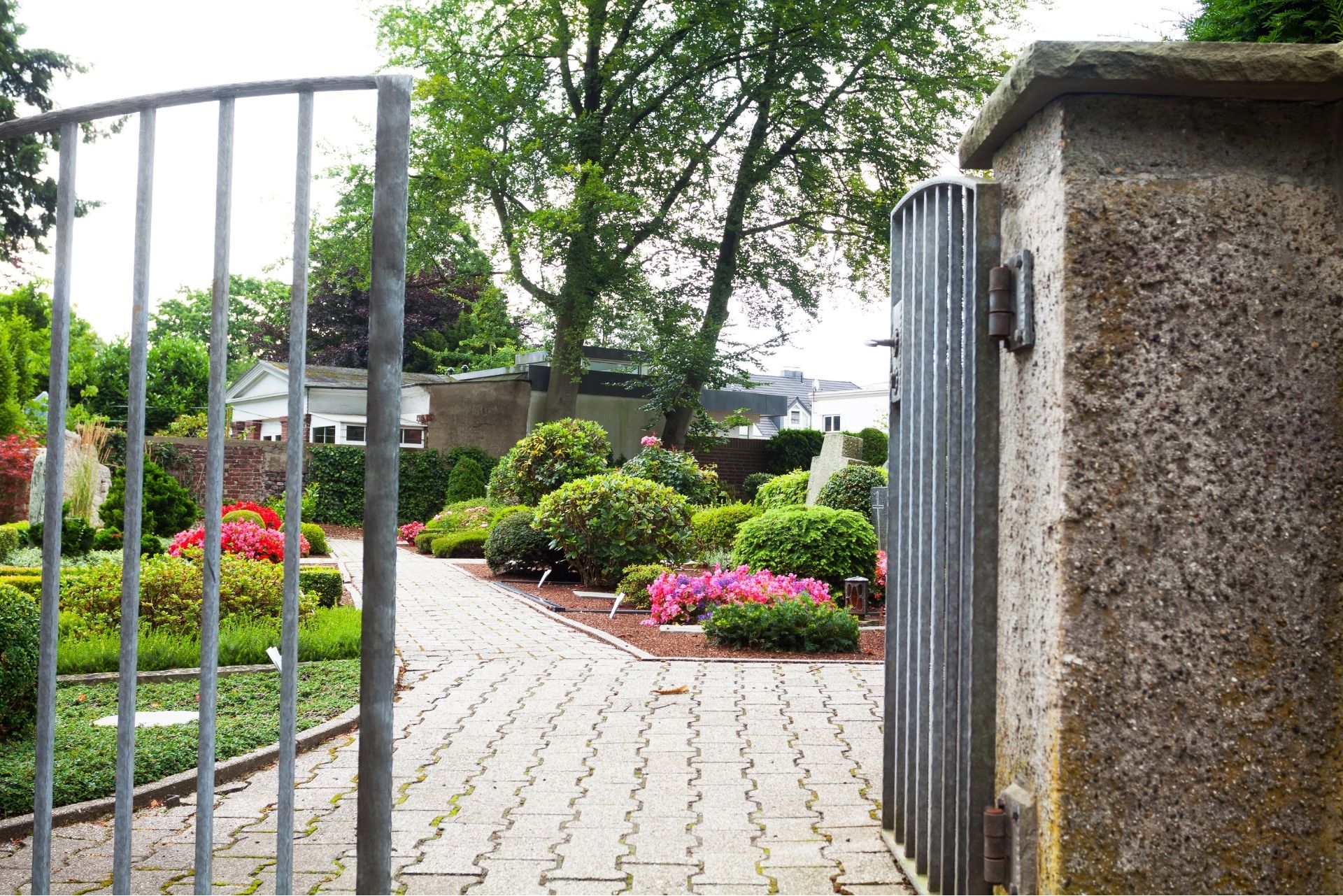 Ultimate Guide To Driveway Gates NZ